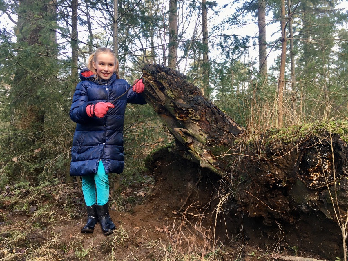 Medaille – Berber Bouma